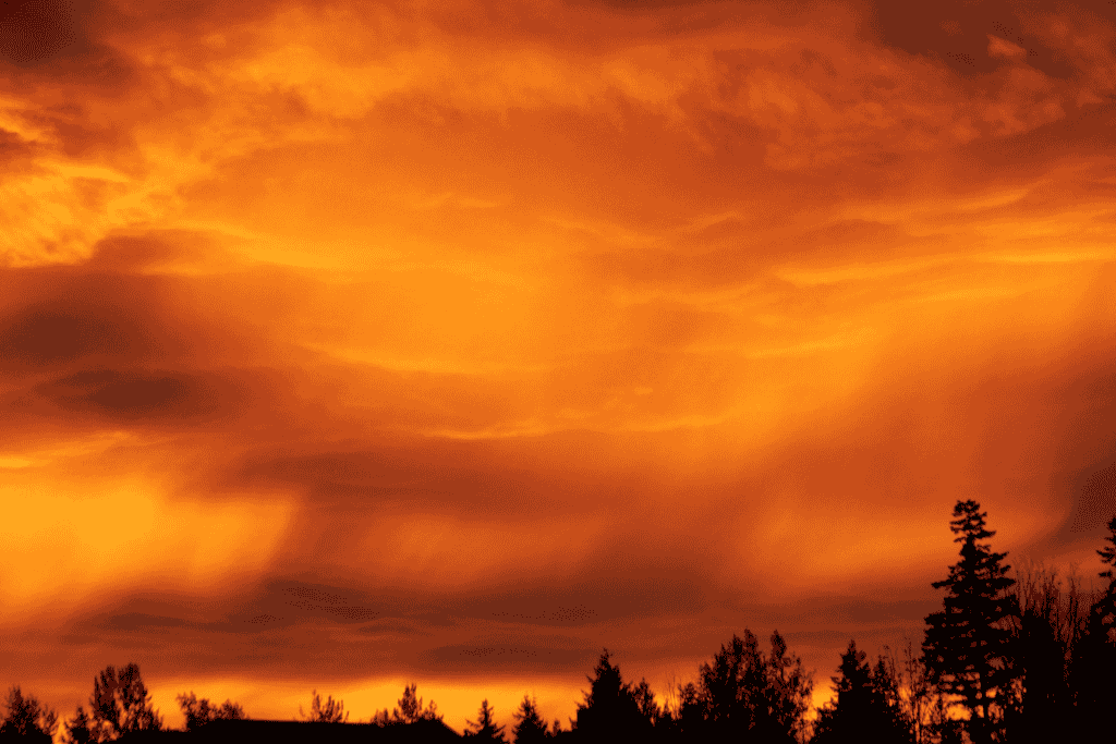 Firestorm in Los Angeles: What Causes the LA Fires to Grow So Fast