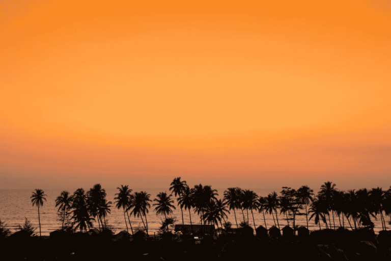 Sundowners in Goa: Top Rooftop Bars with Stunning Views