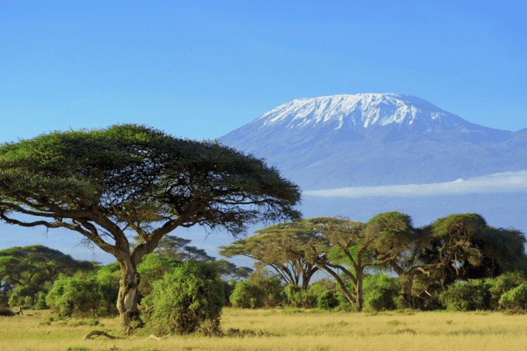 Top Sustainable Travel Destinations for 2025